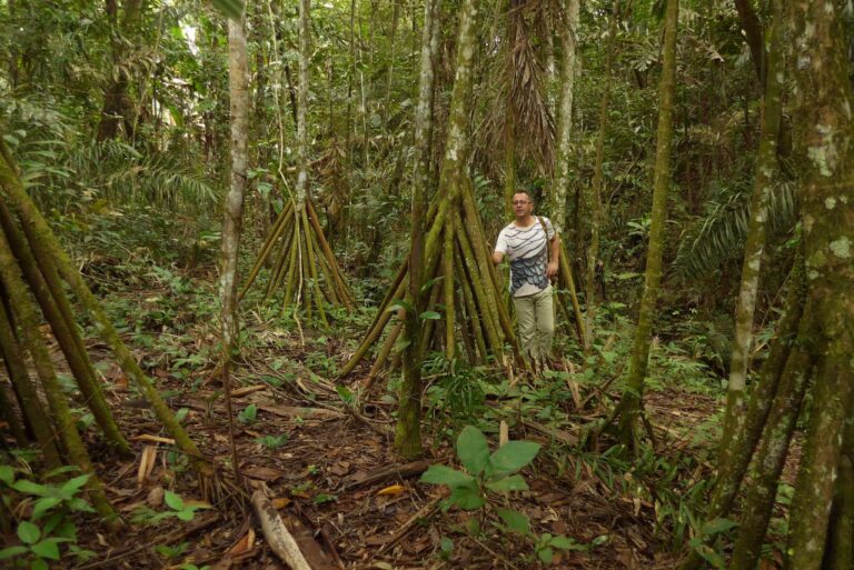 The Walking Trees Of Ecuador | Geography Scout