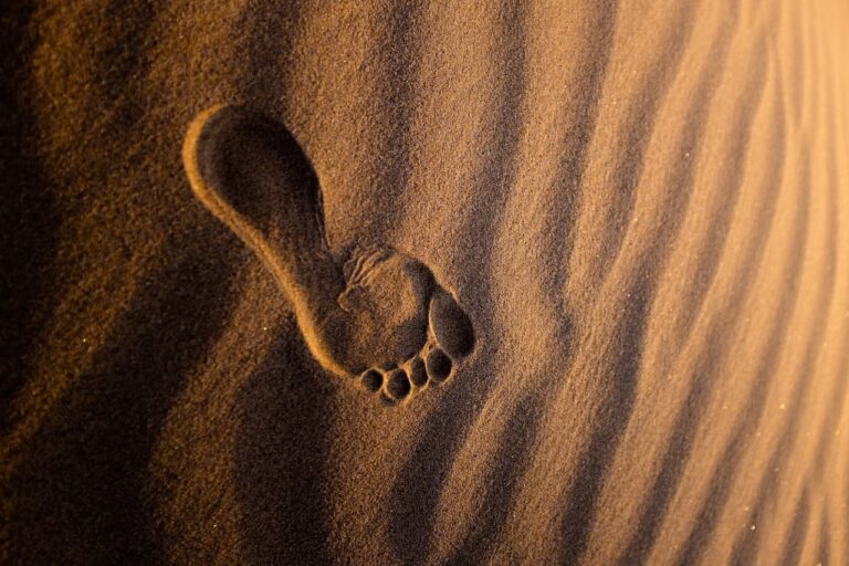 Australia's 20,000 Year Old Human Footprints | Geography Scout